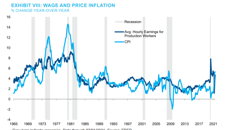 TIPS (Treasury Inflation Protected Securities) - Primer | NISA